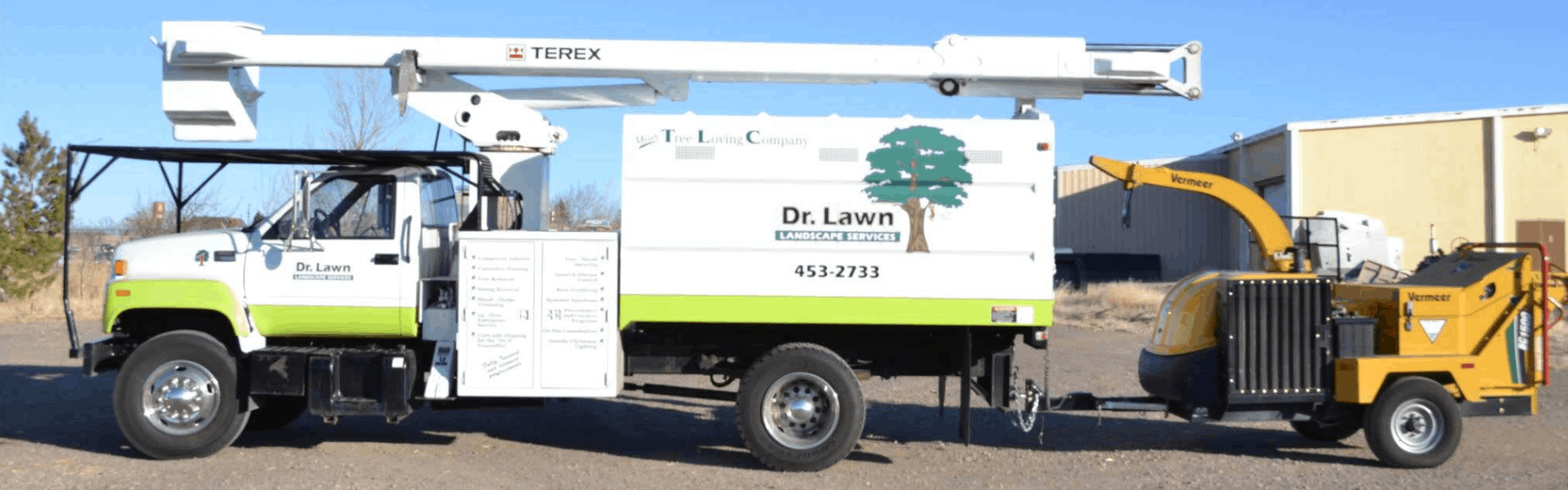Professional Tree Care Services Enhance Your Landscape Today