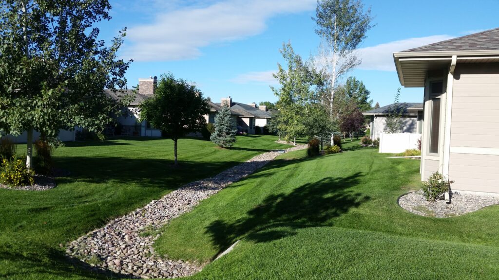 Expert Home Owners Association Management by Doctor Lawn